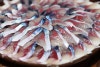 제주도 고등어회 싱싱하고 고소한 감칠맛이 깊어 자주 찾게 되는곳입니다 네이버 블로그